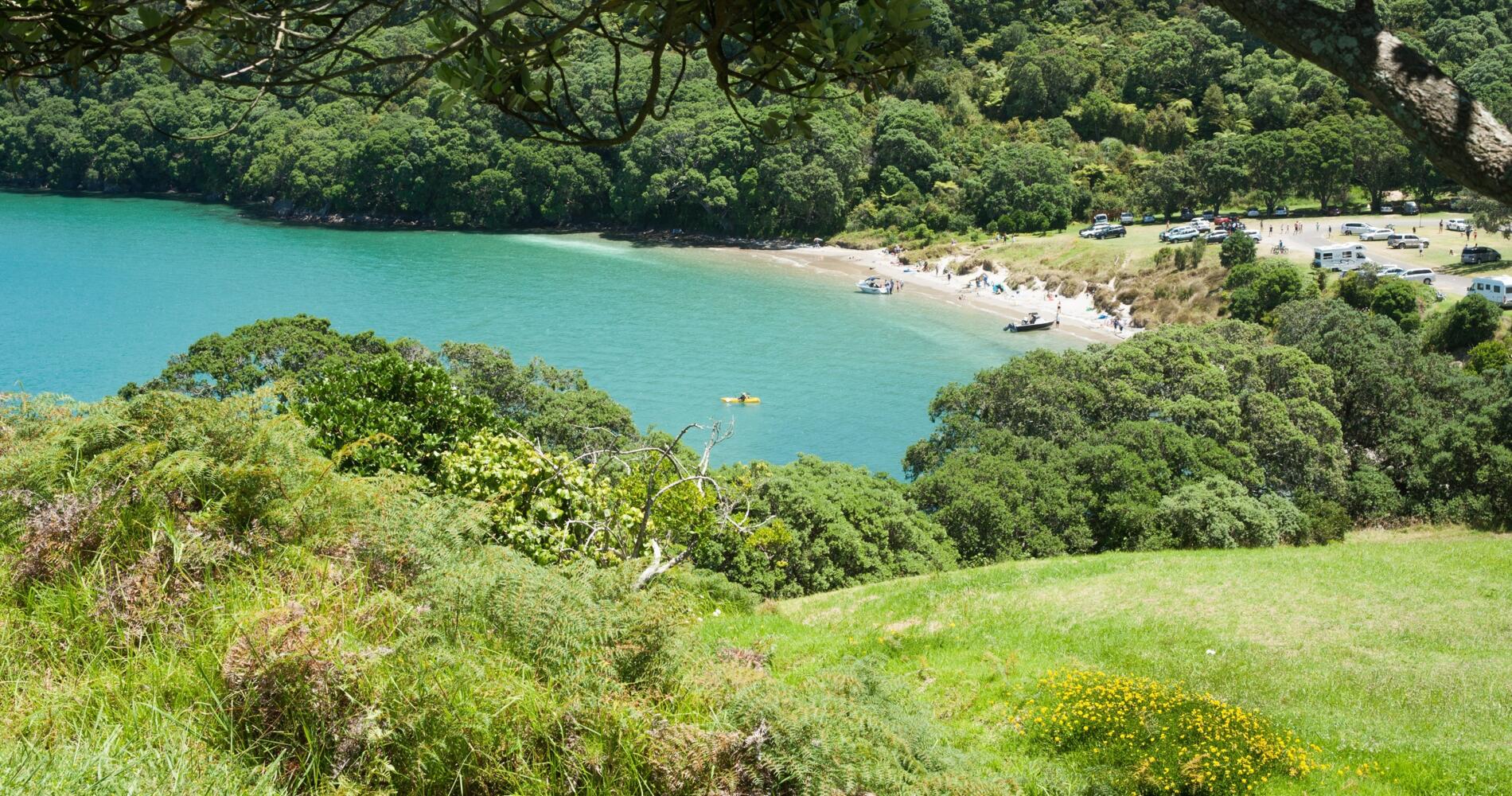 Things to see and do in Waihī, New Zealand