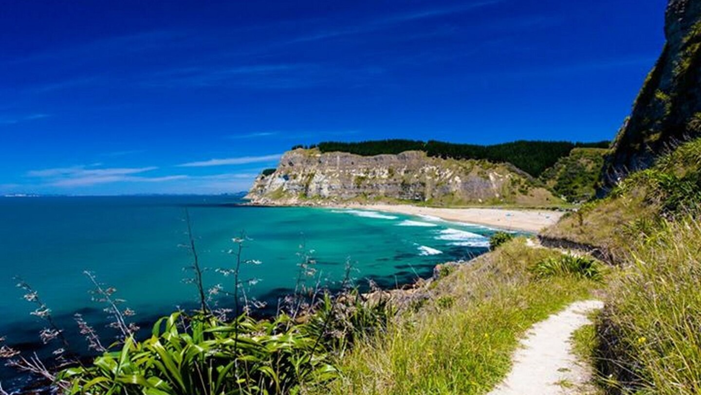 Waipatiki Beach Holiday Park | Accommodation in Hawke's Bay, New Zealand