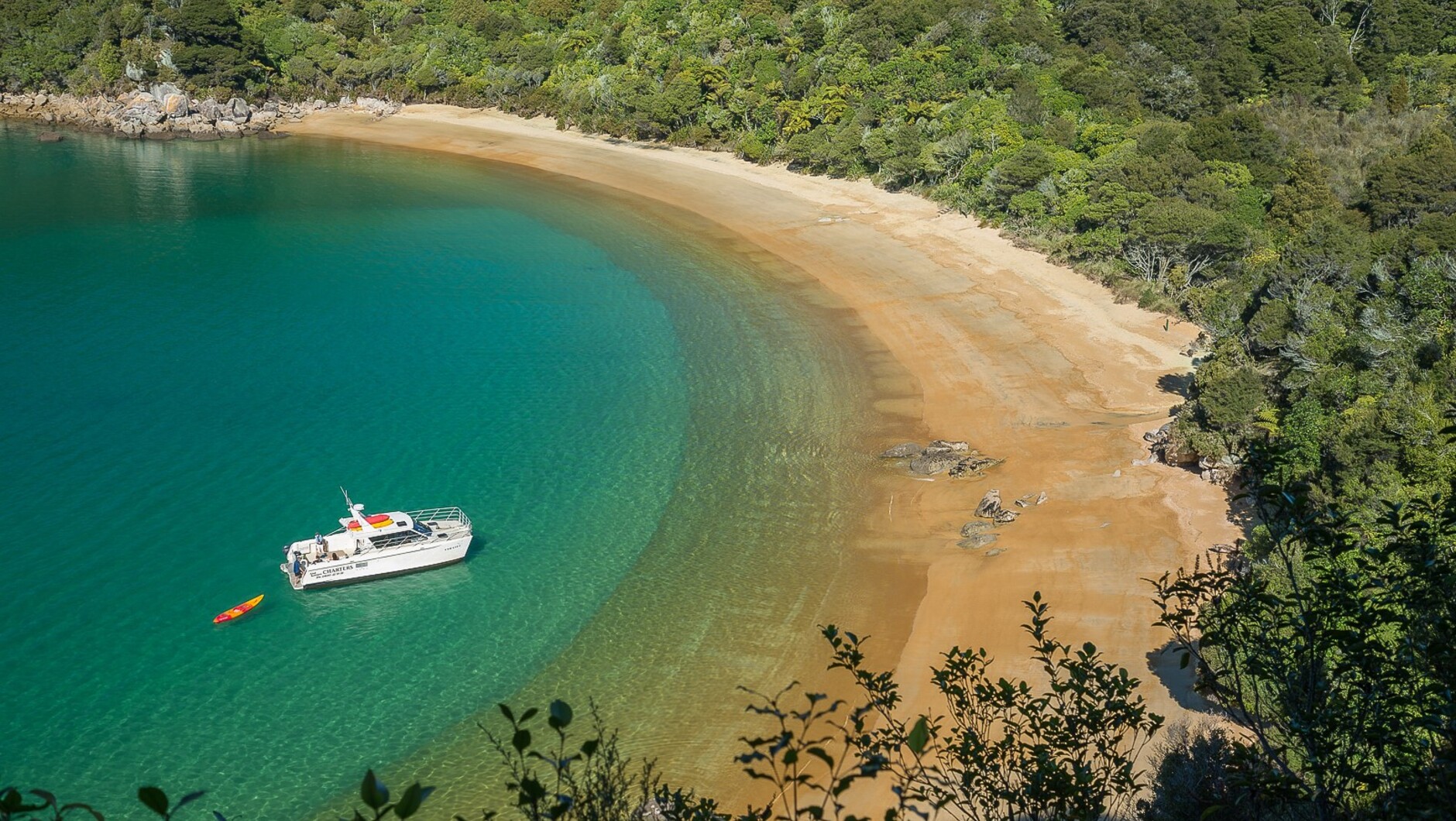 Exclusive Abel Tasman Charter | Activities & Day Trips in Nelson Tasman ...