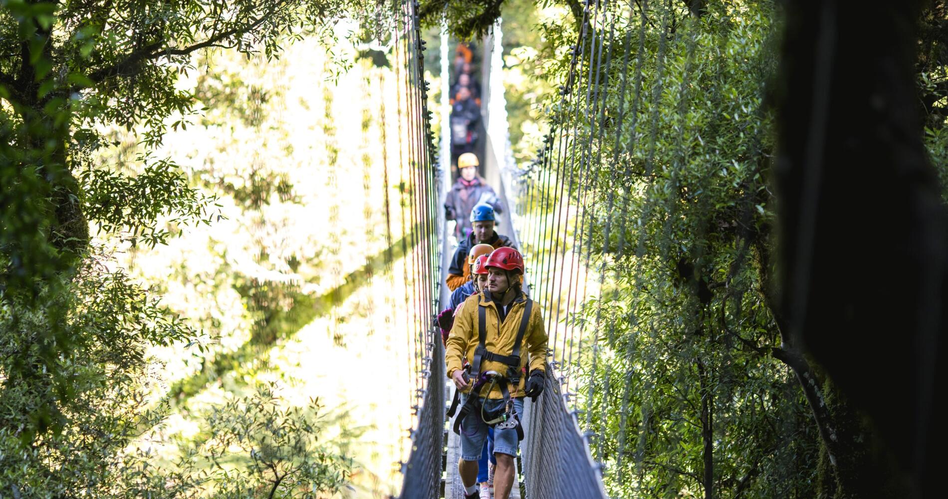 Ziplining in New Zealand | 100% Pure New Zealand