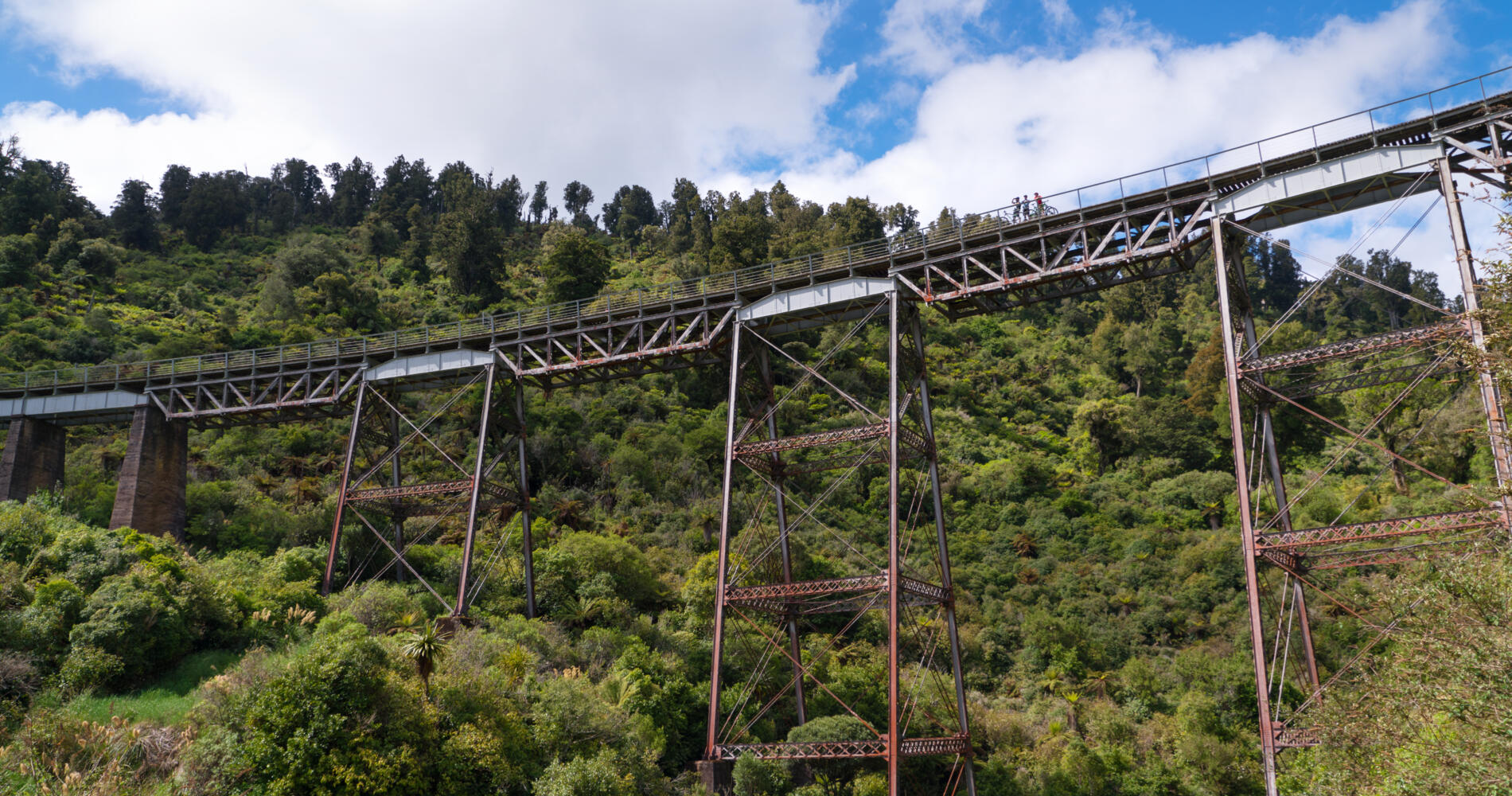 Ohakune Old Coach Road | Mountain Biking in New Zealand's North Island