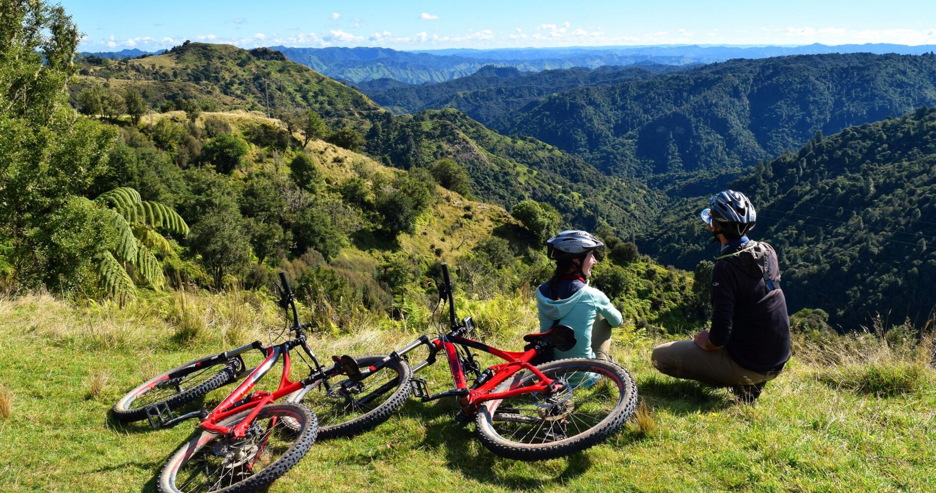 Fishers Track | Ruapehu, New Zealand
