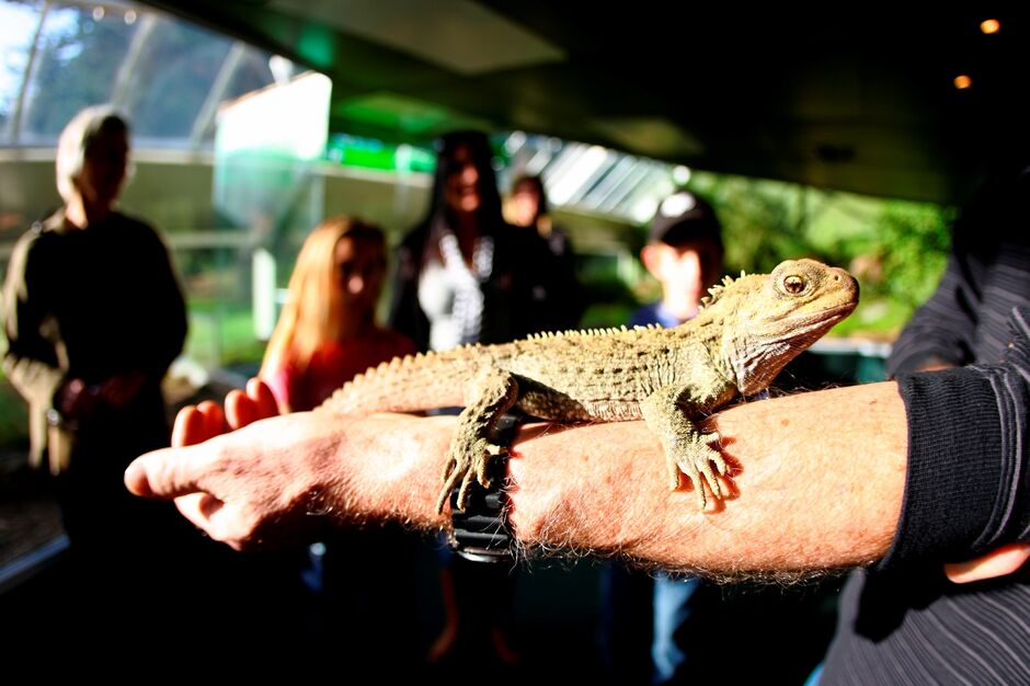 Invercargill - Things to see and do - South Island | New Zealand