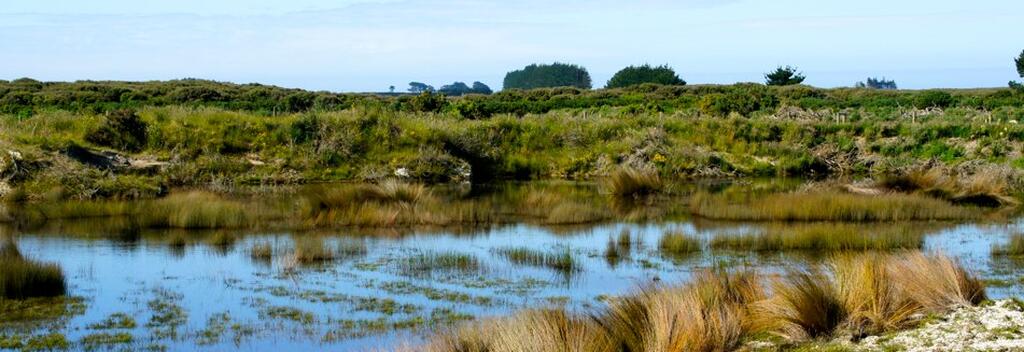 Waituna Lagoon and wetland | Southland, New Zealand