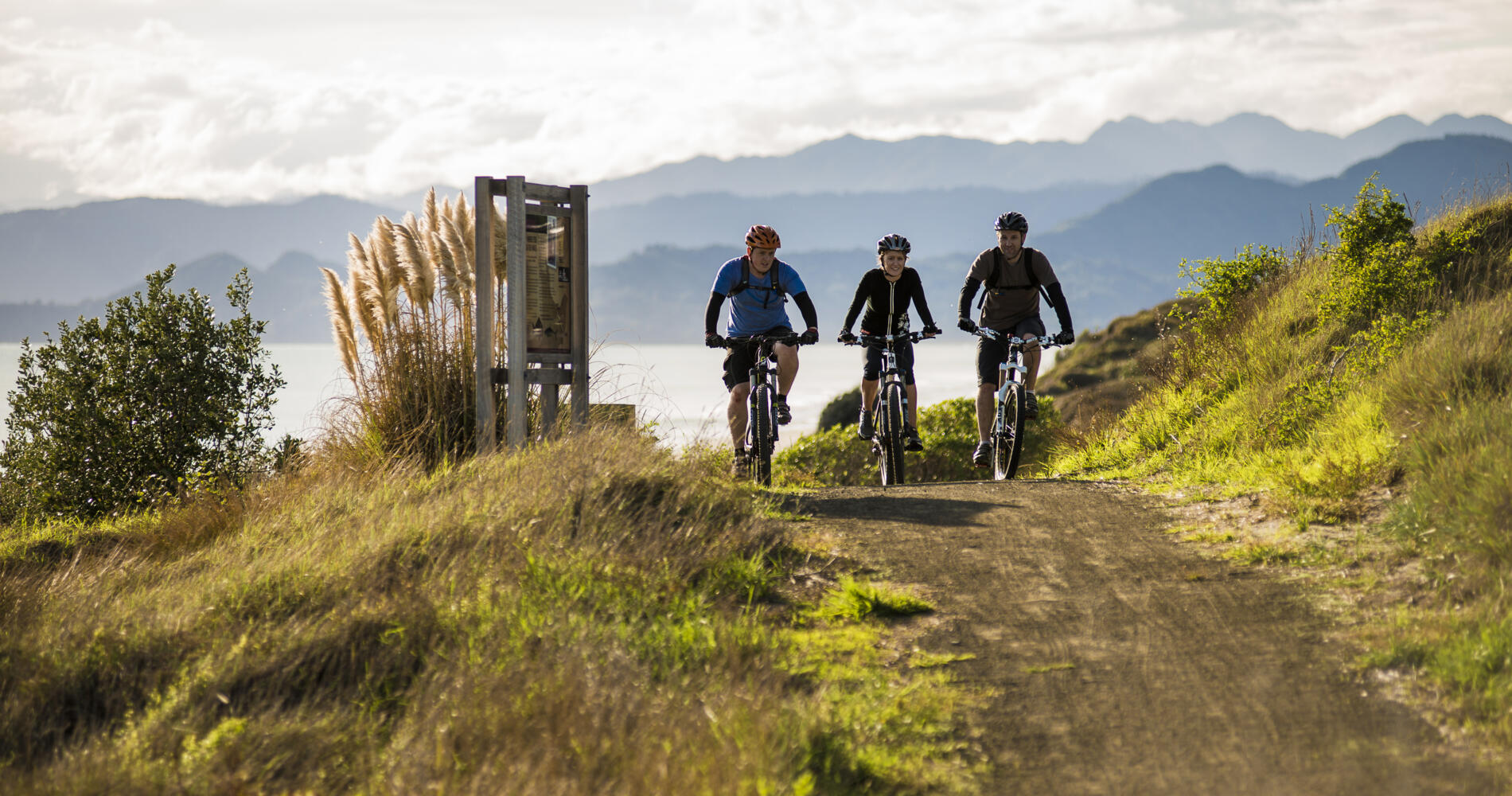 Motu Trails | 100% Pure New Zealand