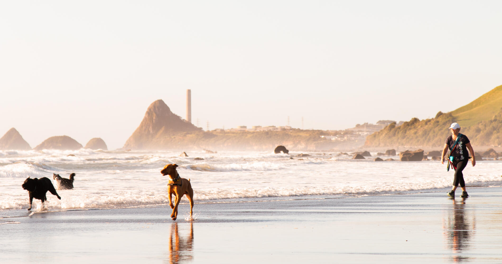 Ōakura | 100% Pure New Zealand