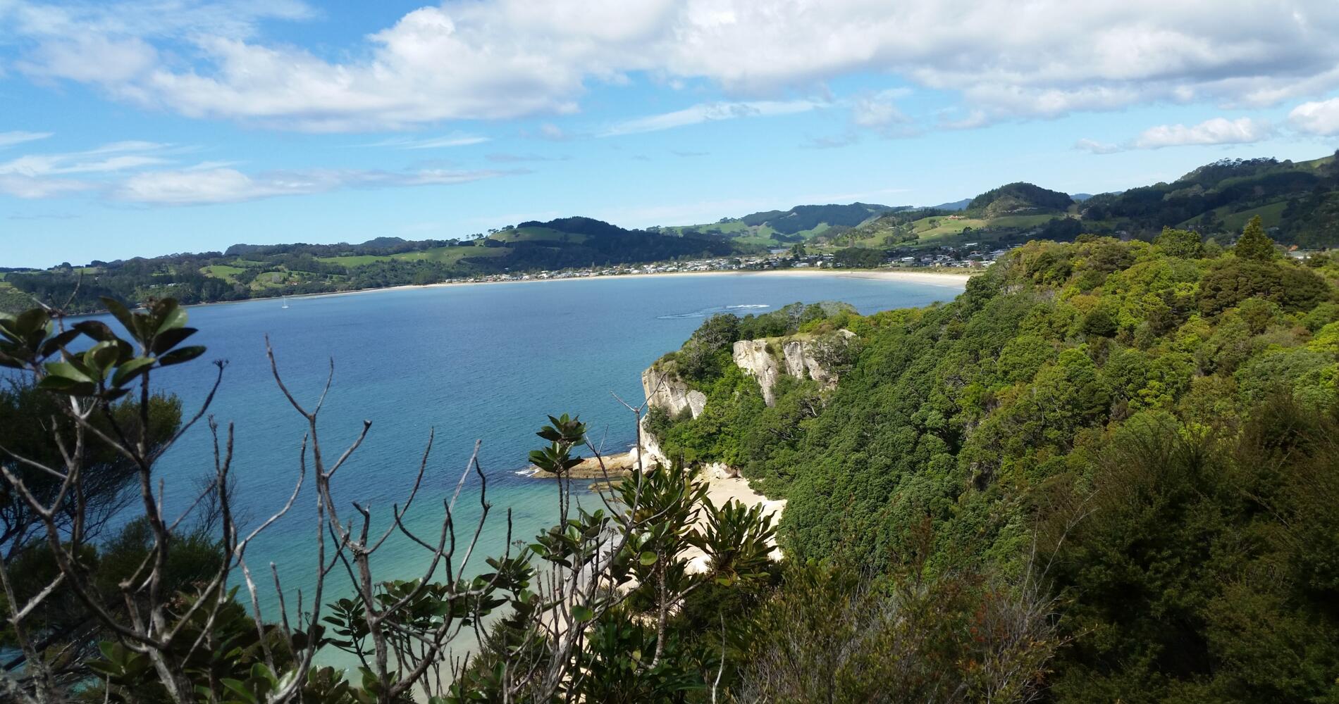 Things to see and do in Cooks Beach, New Zealand