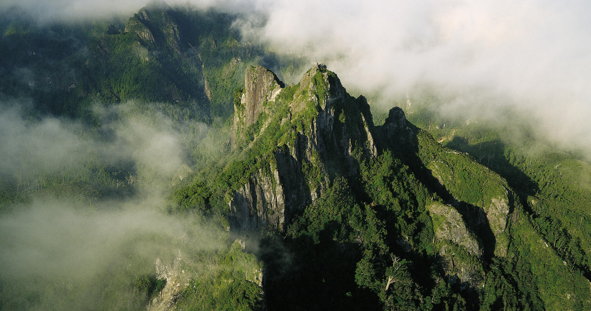 The Coromandel Attractions | The Coromandel, New Zealand