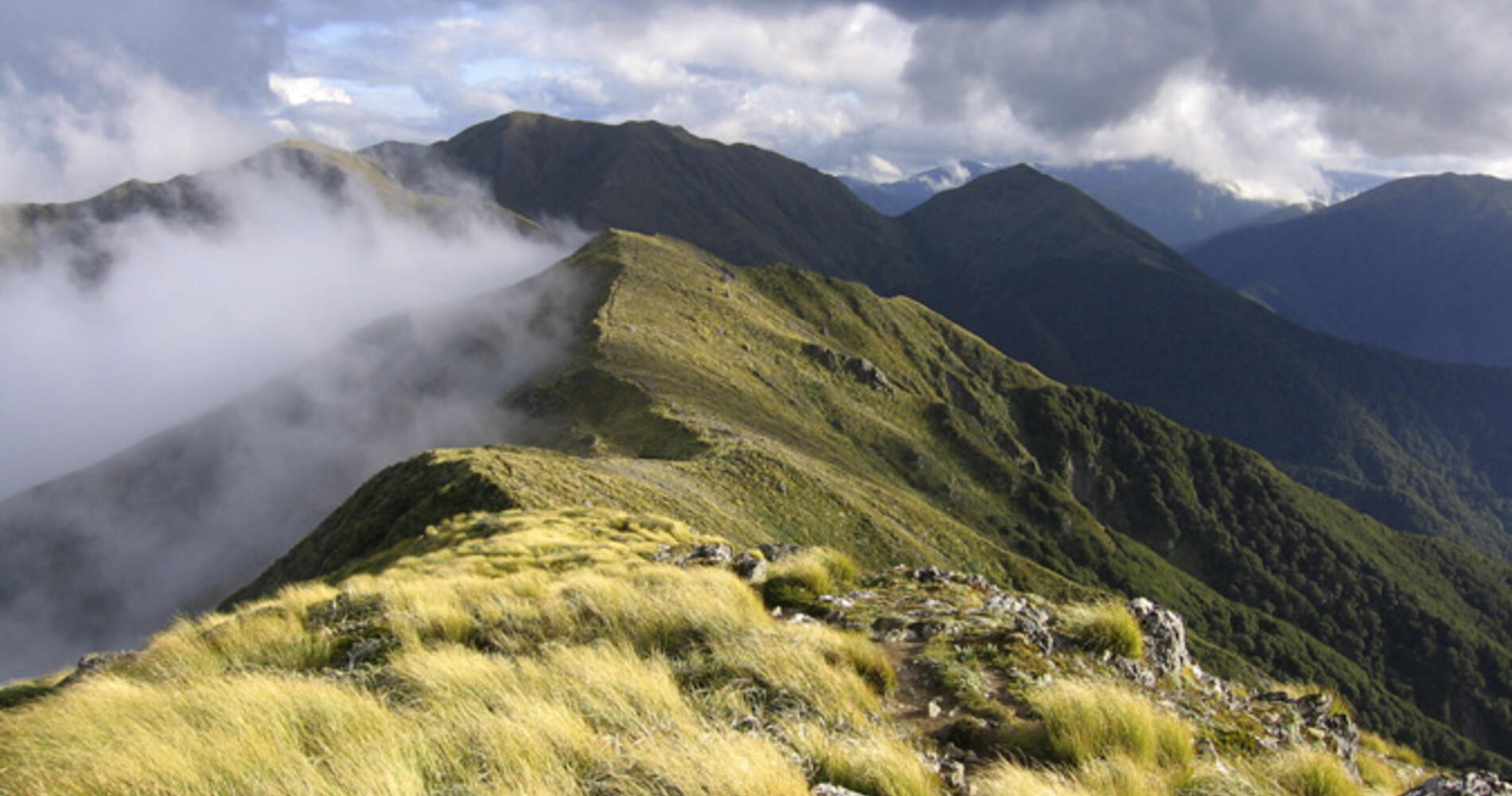 Mount Holdsworth Track | Wairarapa, New Zealand