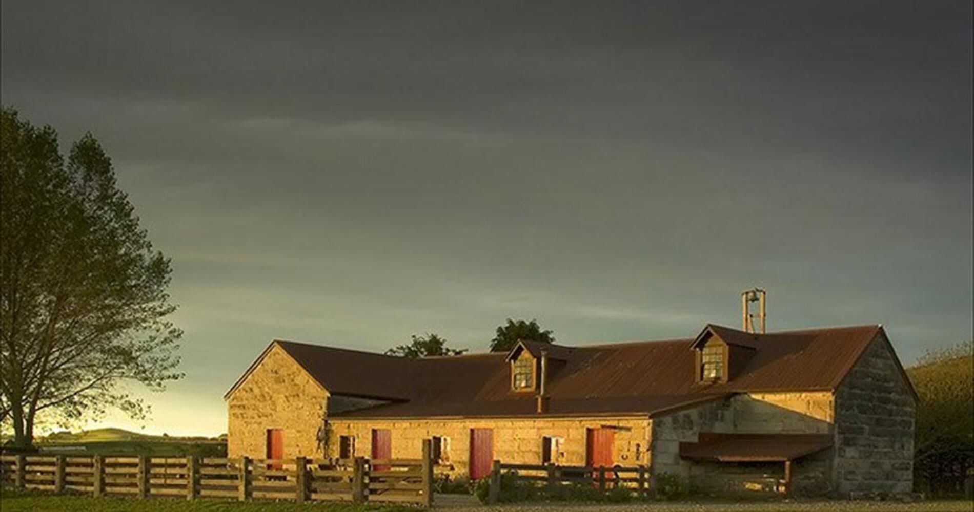 Totara Estate | Waitaki, New Zealand