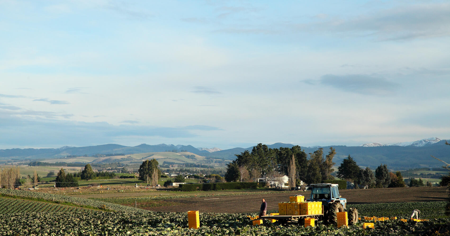 Things to see and do in Maheno, New Zealand