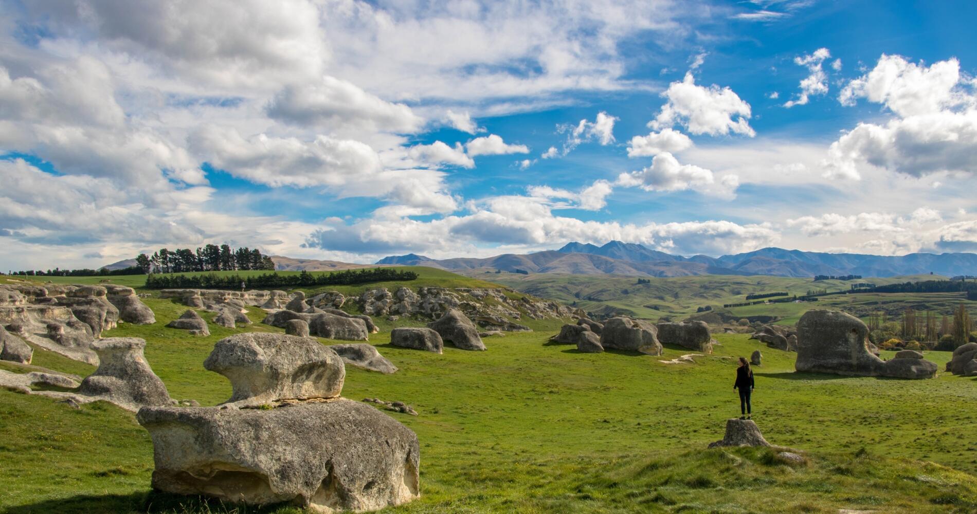 Waitaki Attractions | Waitaki, New Zealand