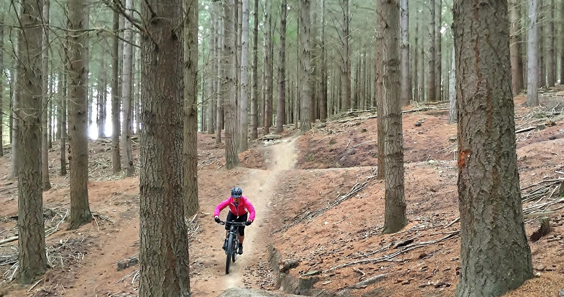 Sticky Forest Mountain Biking Trails | Wānaka, New Zealand