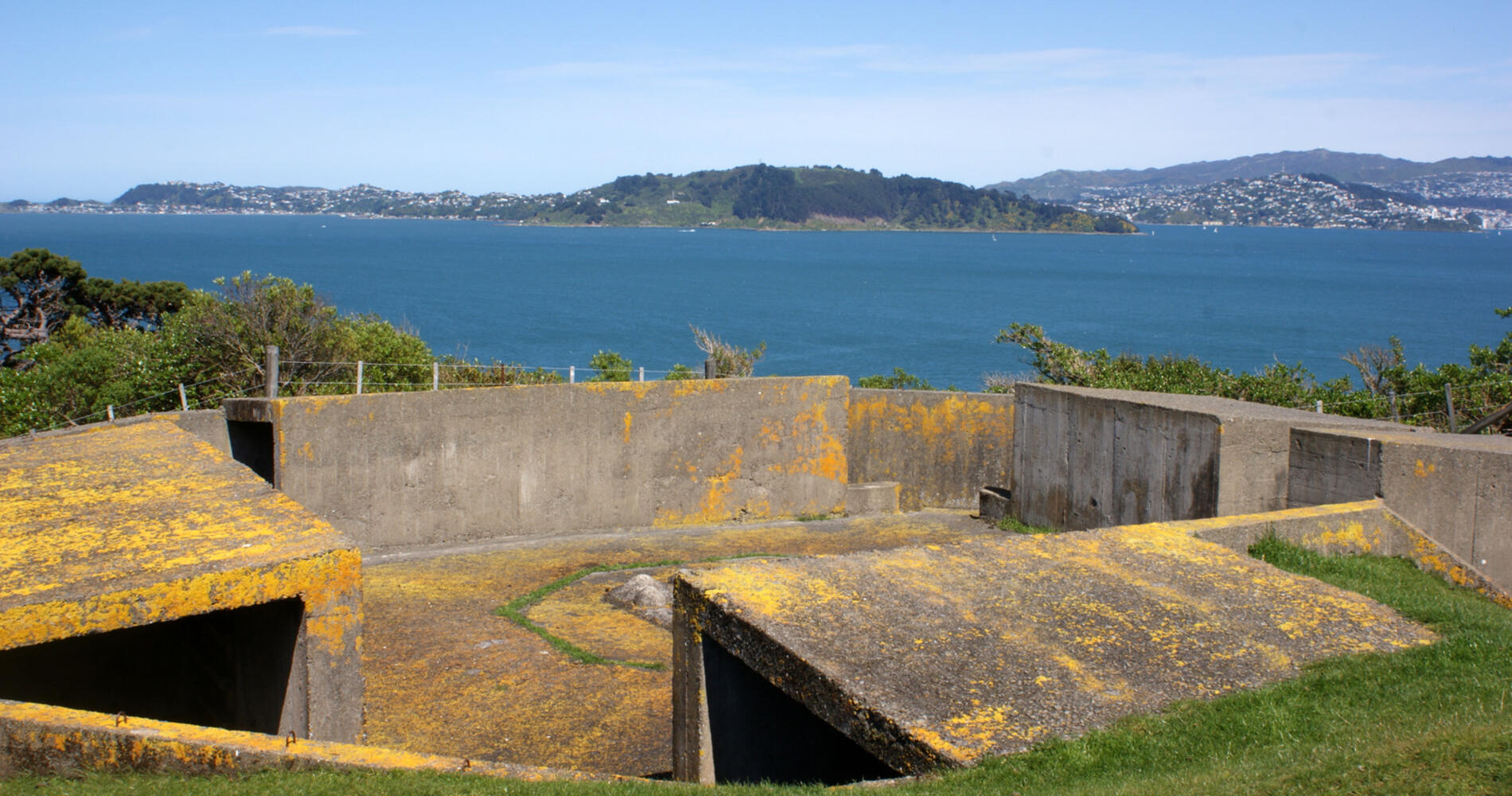 Matiu/Somes Island | Wellington, New Zealand
