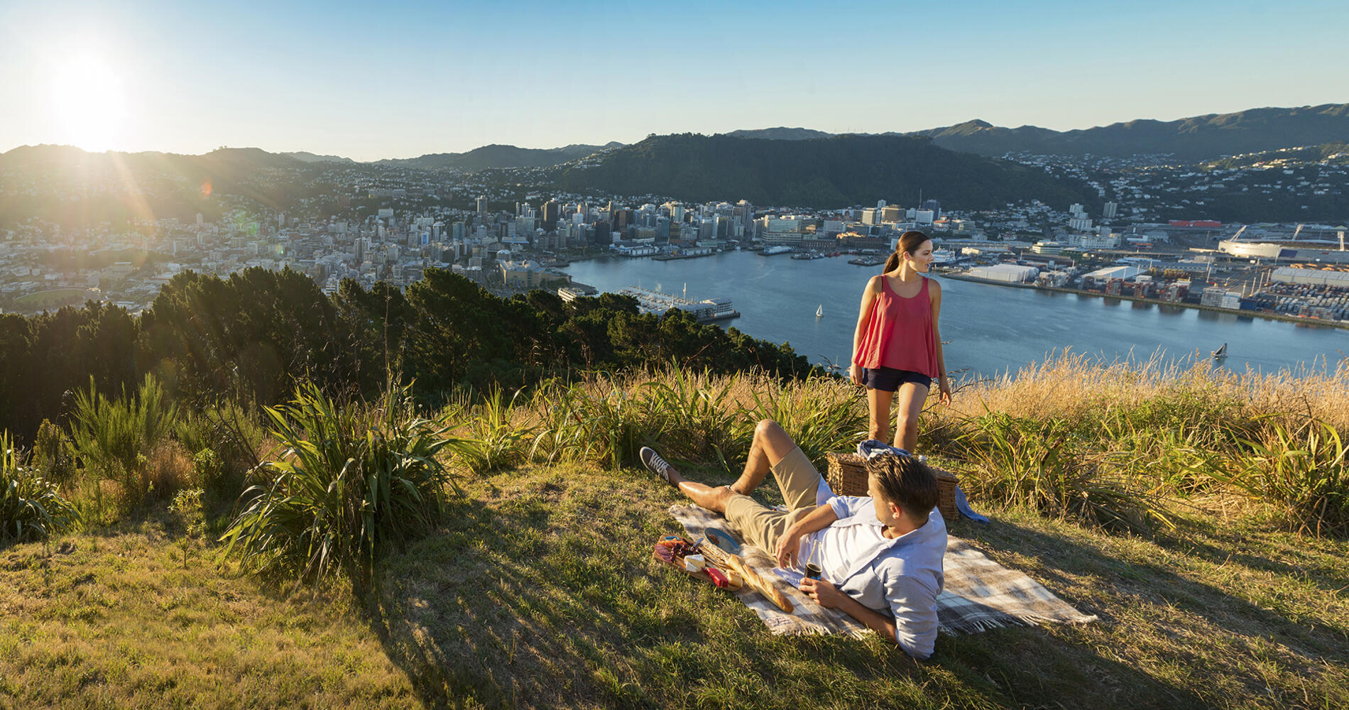 Wellington, Walking & hiking in New Zealand | Things to see and do in ...