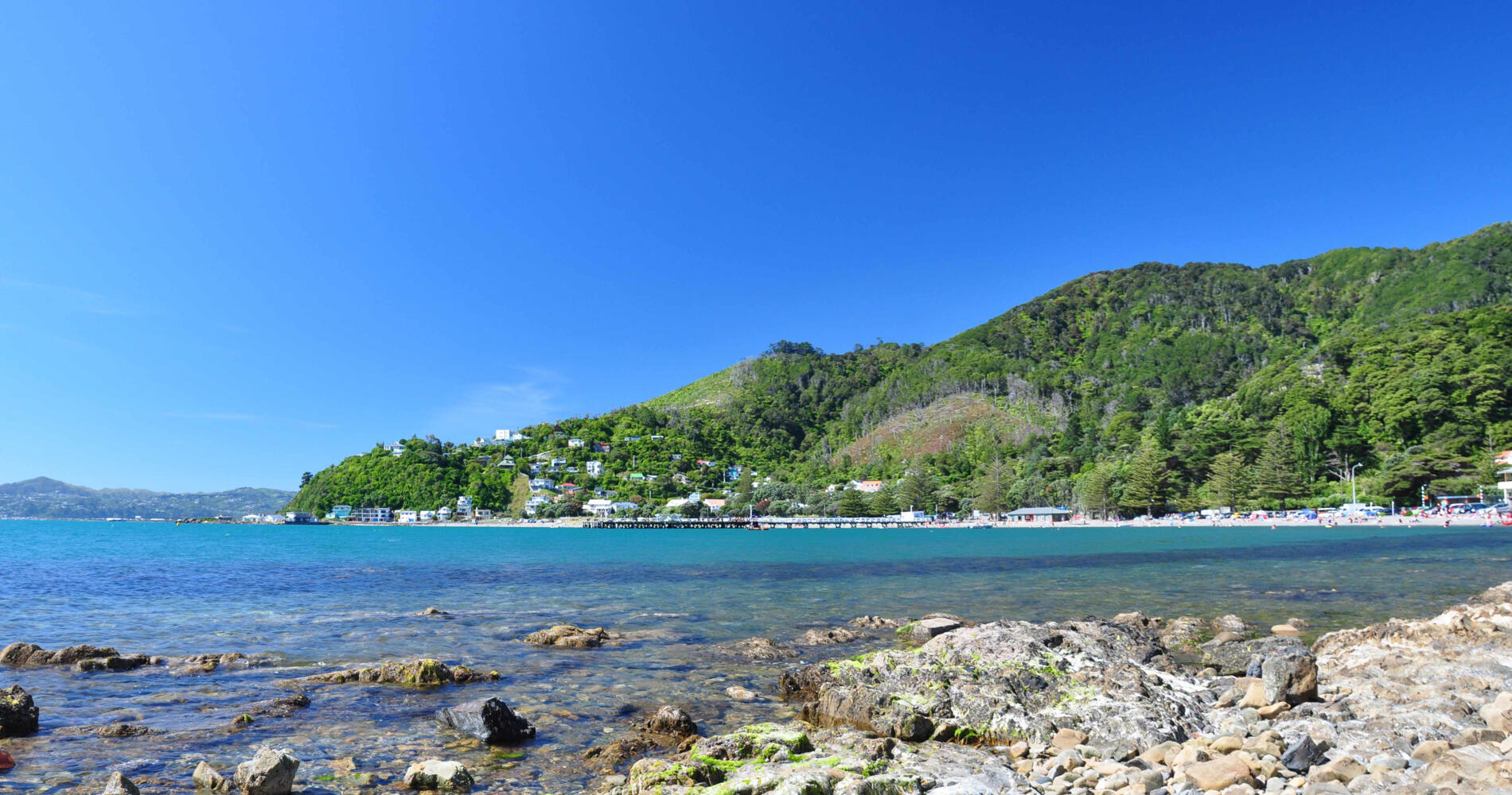 Things to see and do in Lower Hutt