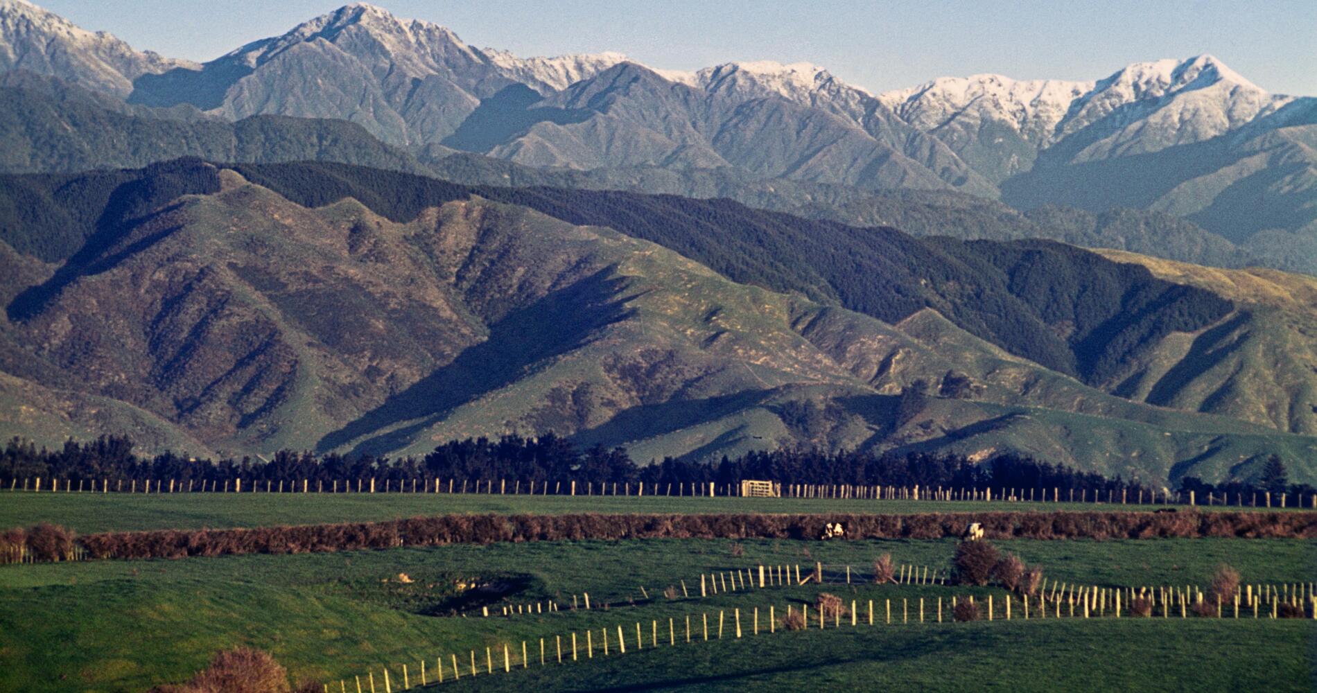 Levin | 100% Pure New Zealand