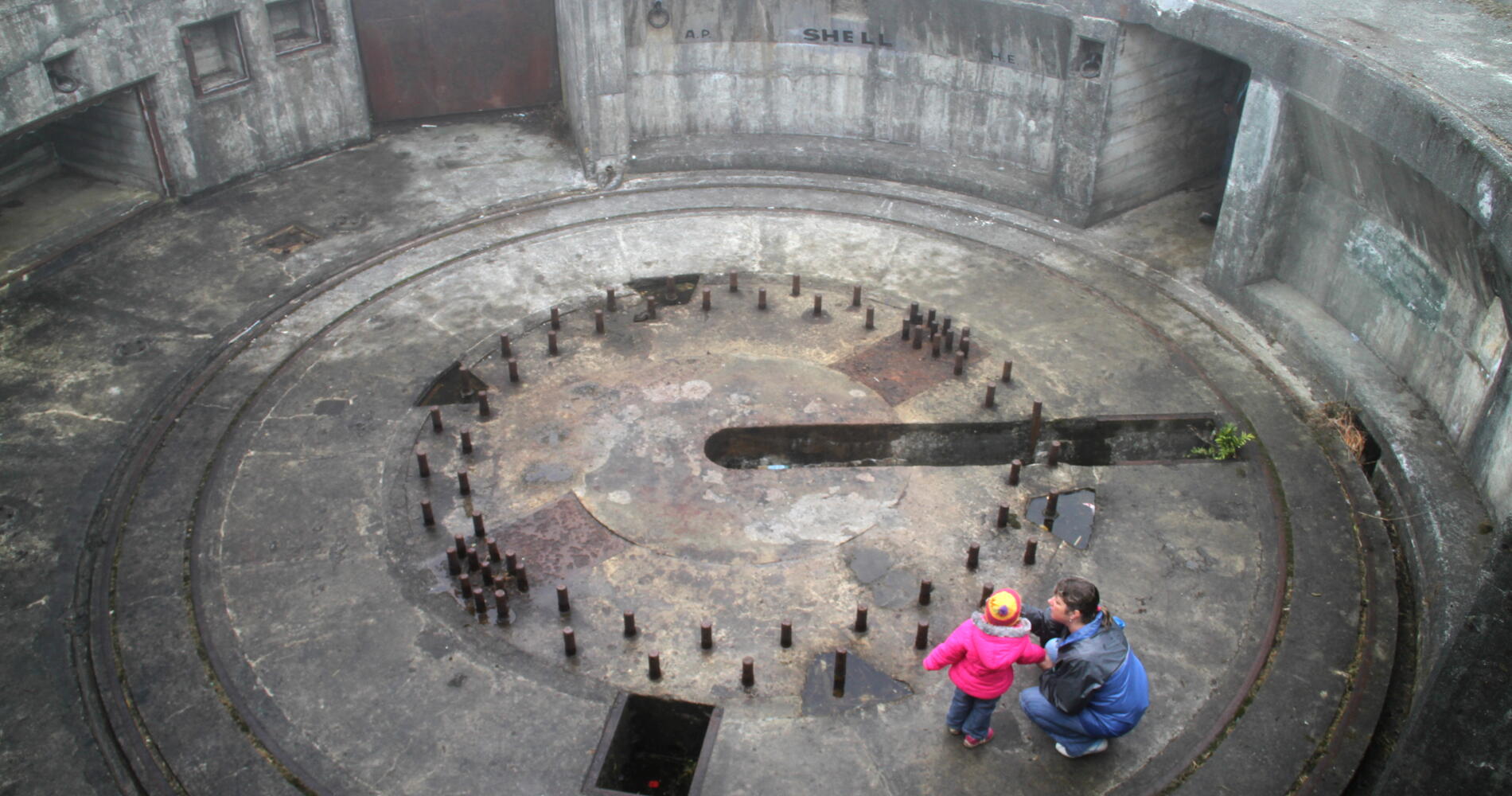 Wrights Hill Fortress and Recreation Reserve | Wellington, New Zealand