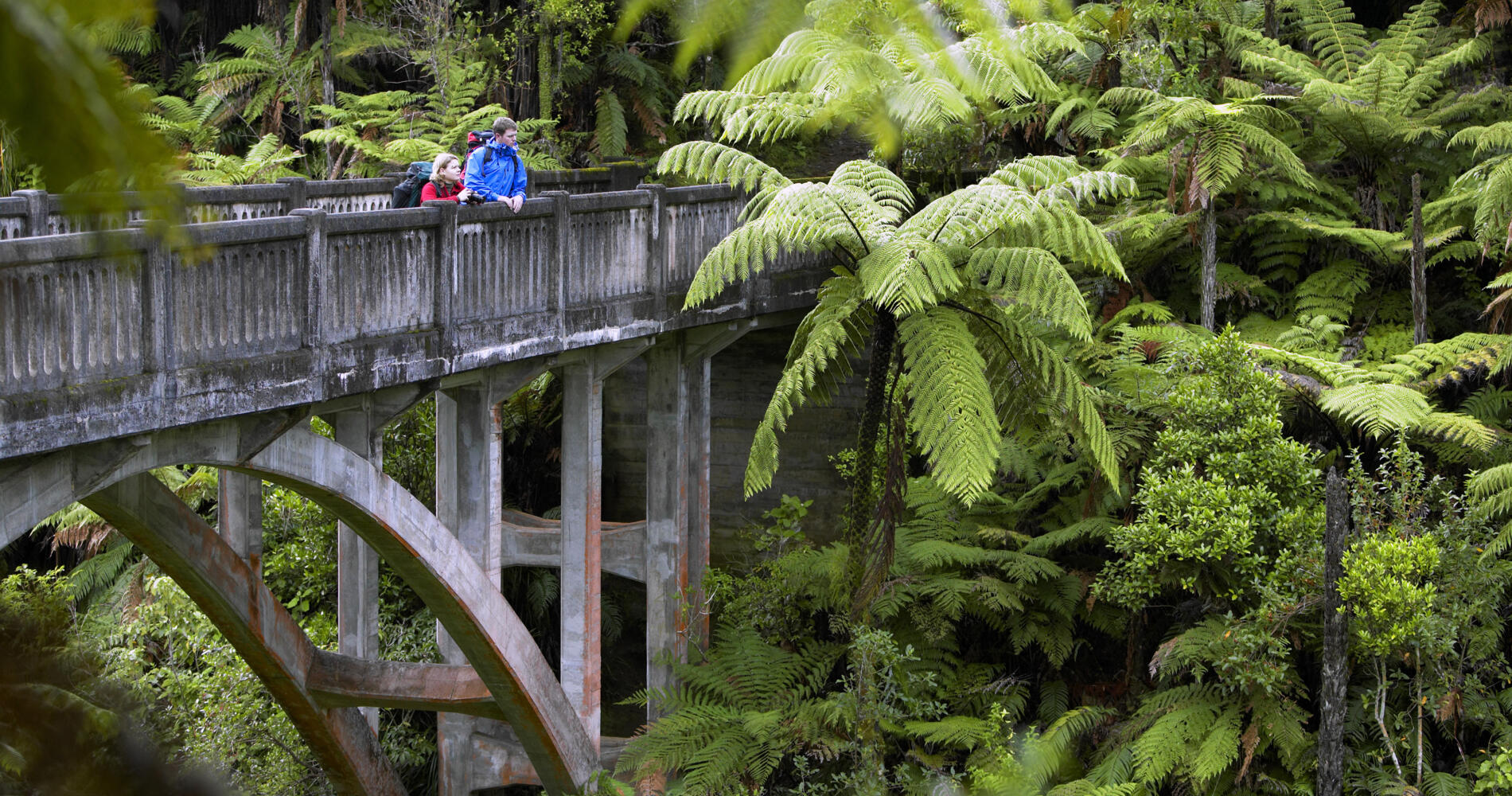 Whanganui, NZ - History and River action | Tourism New Zealand