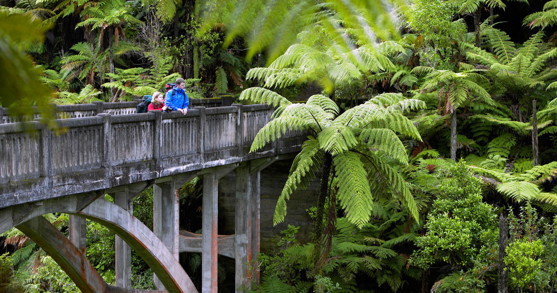 Best Bridges of New Zealand | New Zealand