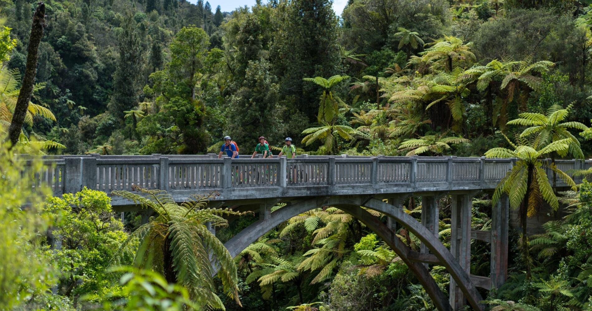 Bridge to Nowhere | 100% Pure New Zealand