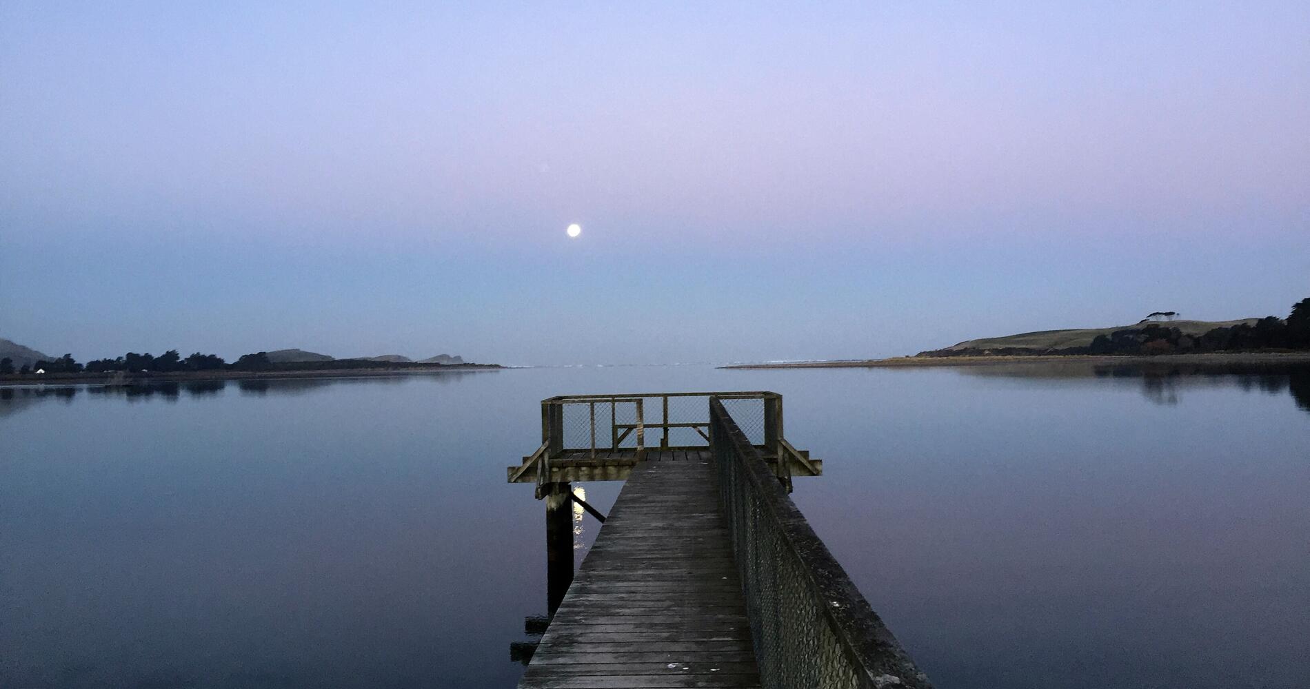 Pounawea Grove Motels | Accommodation in Clutha, New Zealand