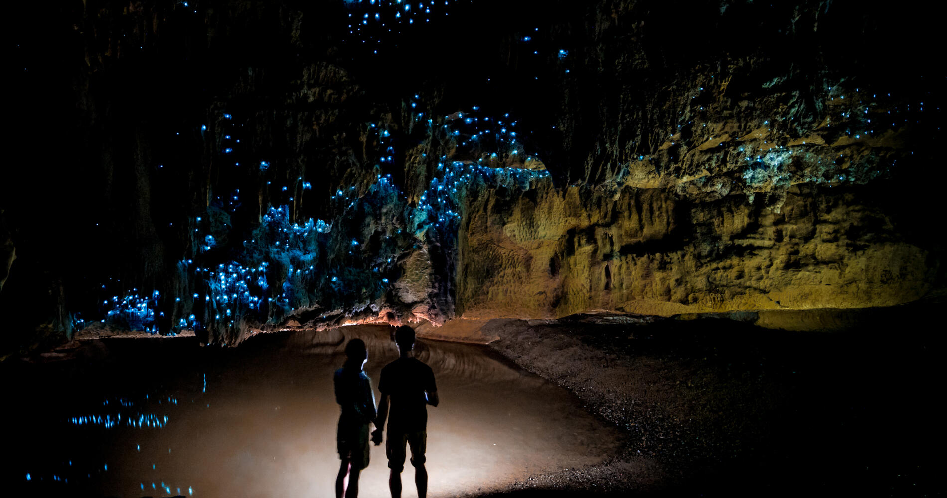 Waitomo Glowworm Caves - Olie's Travels | Activity in Auckland, New Zealand