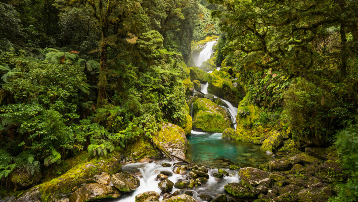 Milford Track Guided Walk - Ultimate Hikes | Multi-Day Tours & Packages