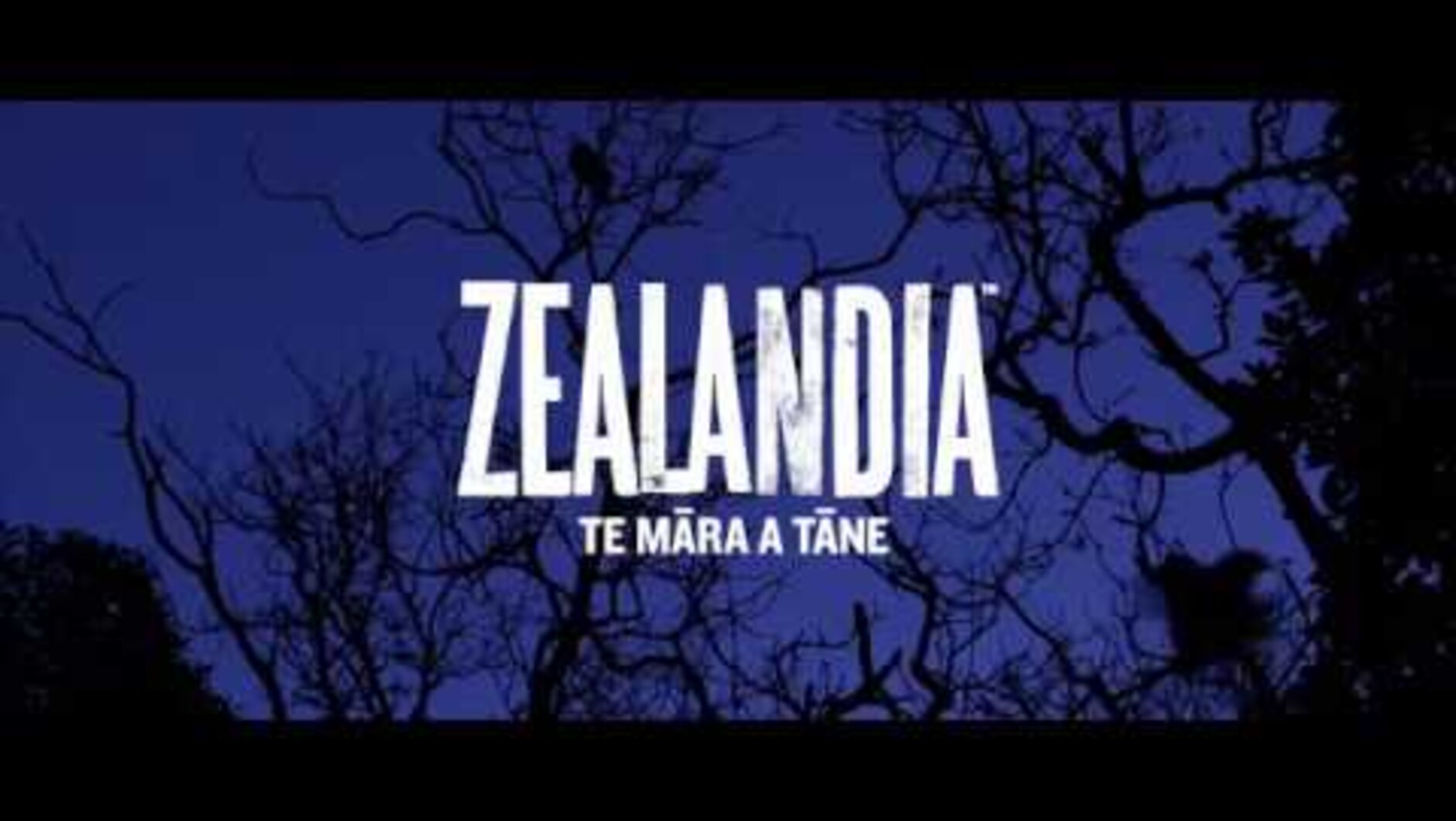 ZEALANDIA By Night Tour | Activities & Day Trips in Wellington, New Zealand
