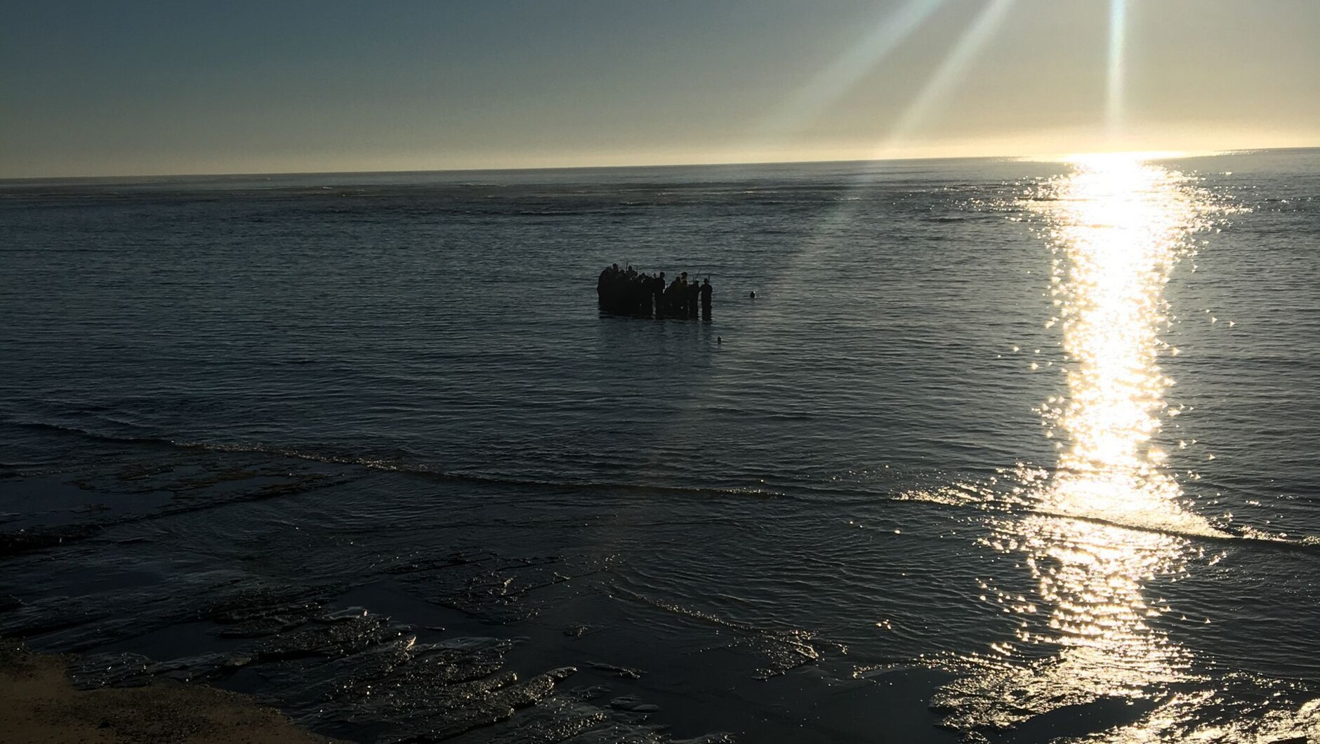 Dive Tatapouri Reef Ecology Tour with Wild Stingrays | Activities & Day ...