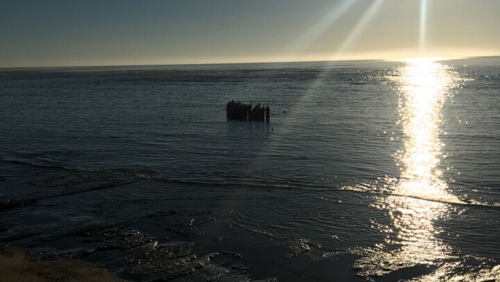 Dive Tatapouri Reef Ecology Tour with Wild Stingrays | Activities & Day ...
