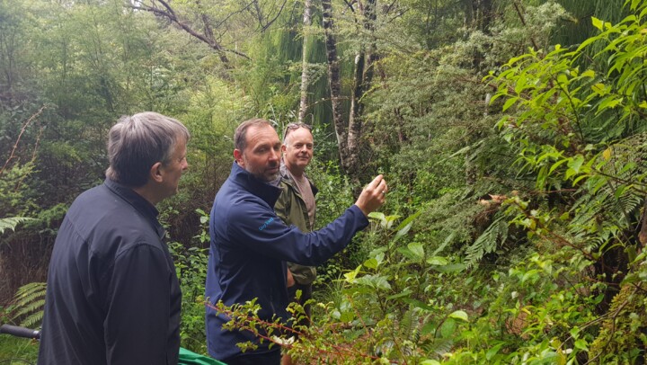 Coast and Rainforest Walk - Full day small group tour with Bush and ...