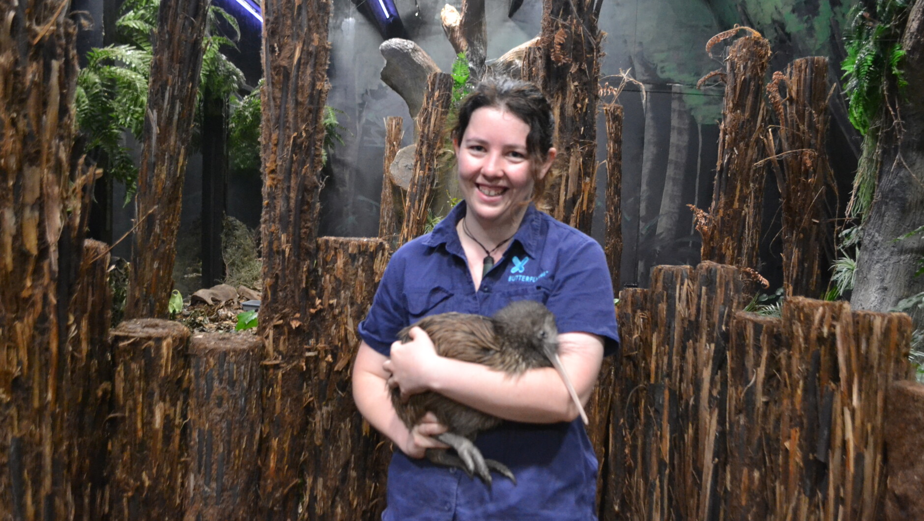 Butterfly Creek | Activities & Day Trips in Auckland, New Zealand