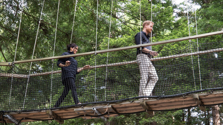 Redwoods Treewalk | Activities & Day Trips in Rotorua, New Zealand