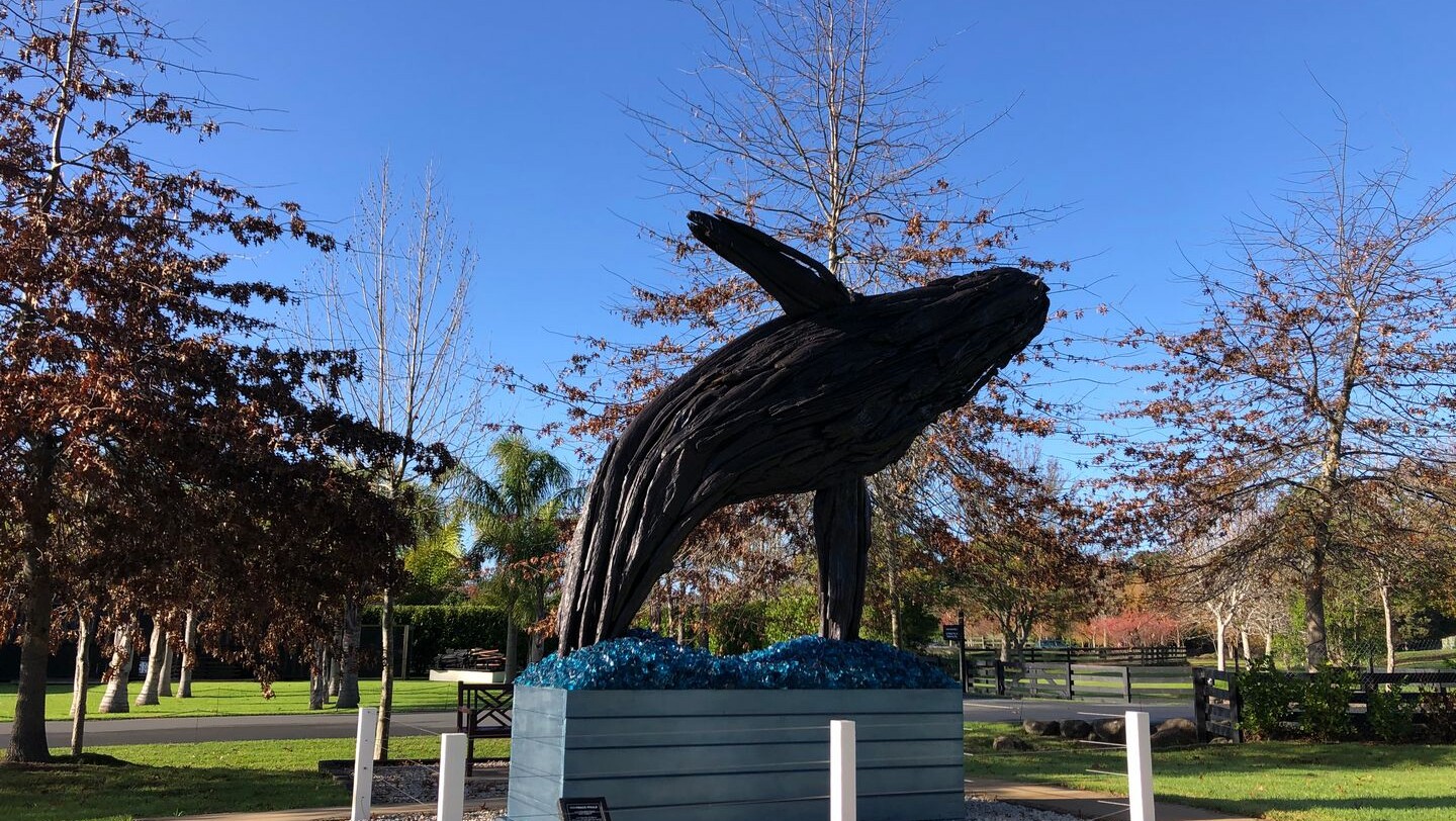 Sculptureum | Activities & Day Trips in Auckland, New Zealand