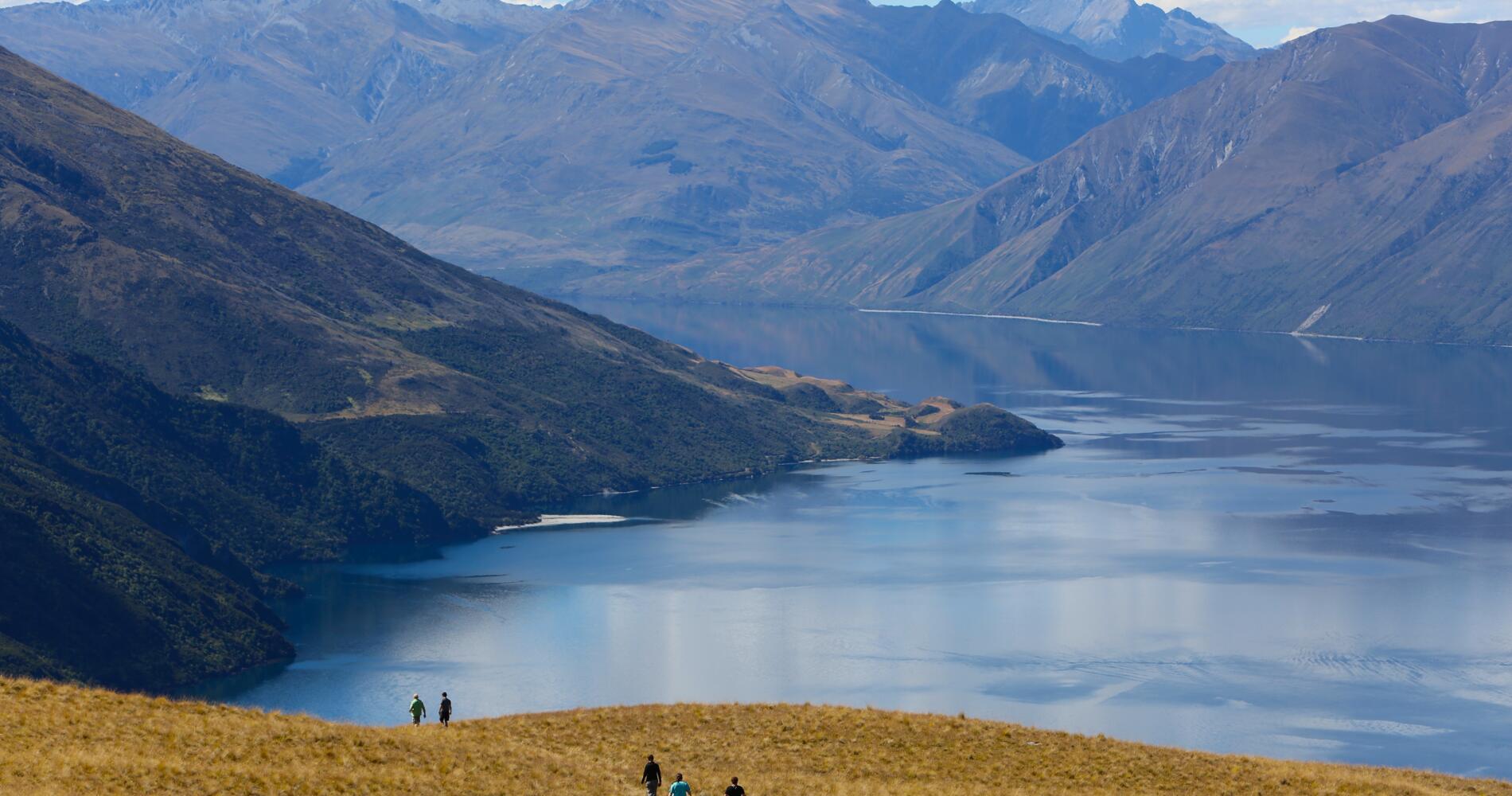 Wanaka High Country Walk | Activities & Day Trips in Wānaka, New Zealand