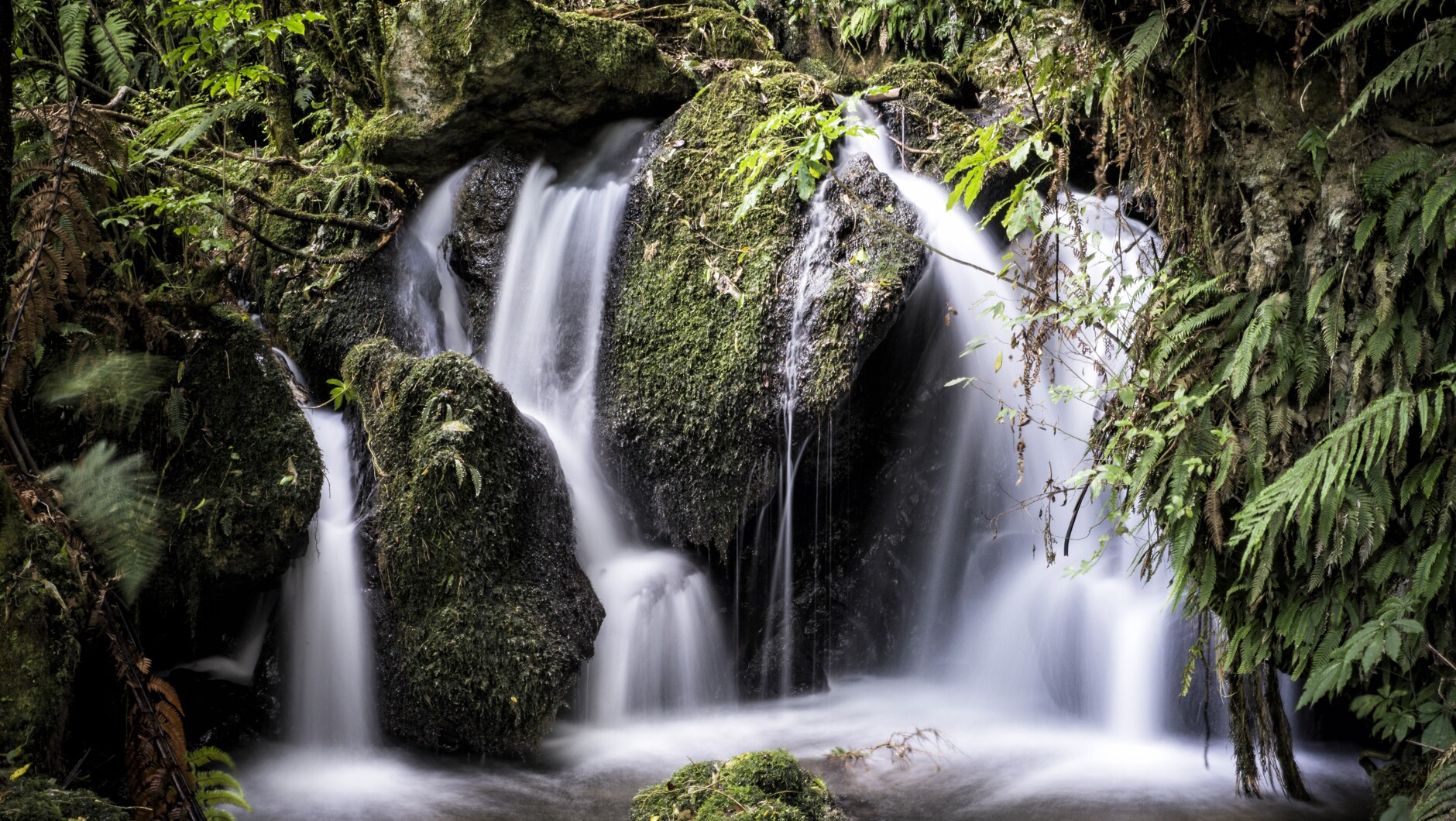 Buried Village of Te Wairoa | Activities & Day Trips in Rotorua, New ...
