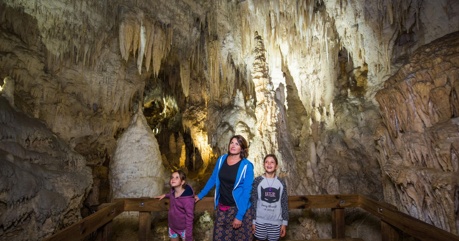 Aranui Cave | Activities & Day Trips in Waikato, New Zealand