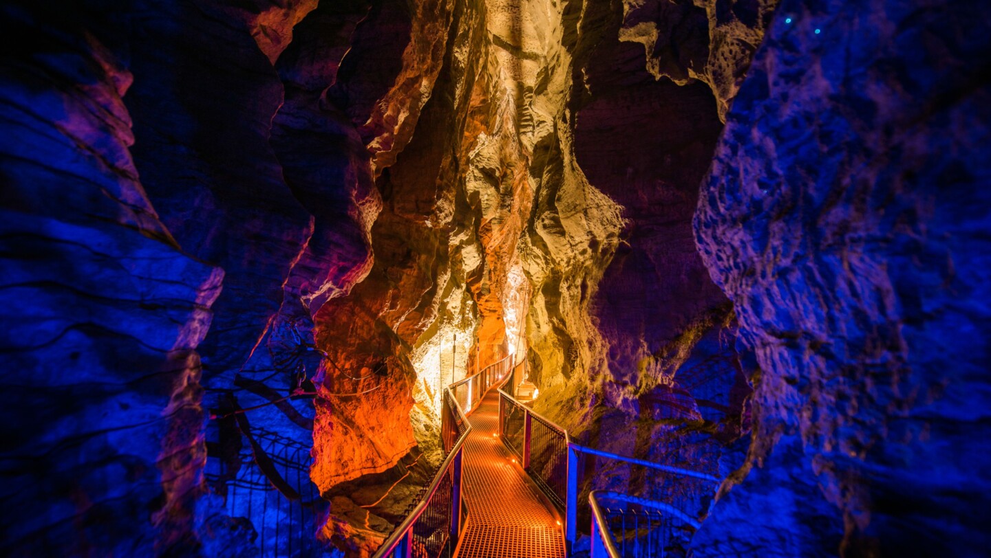Ruakuri Cave | Activities & Day Trips in Waikato, New Zealand