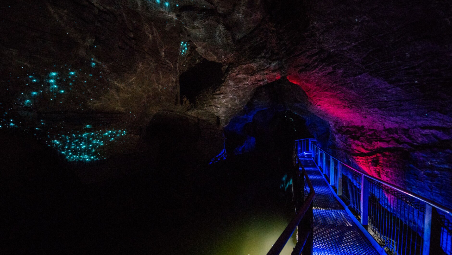 Ruakuri Cave | Activities & Day Trips in Waikato, New Zealand
