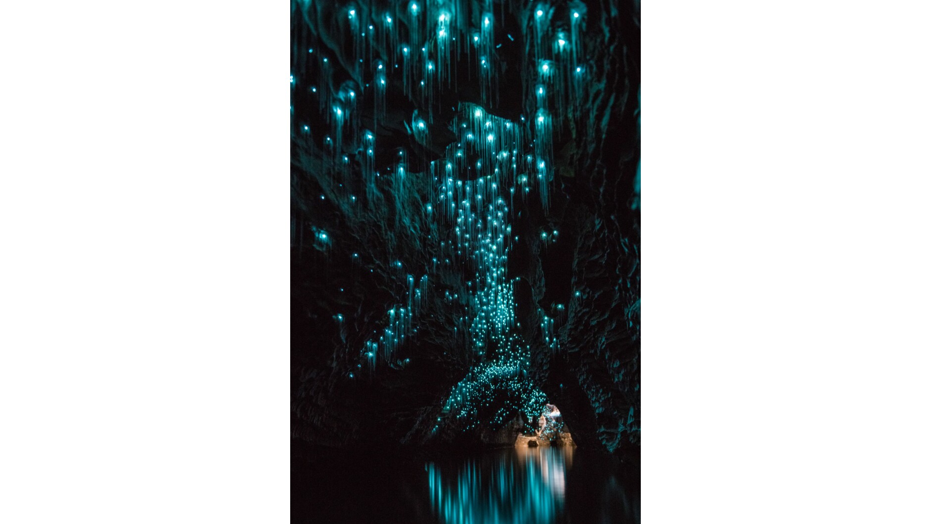 Waitomo Glowworm Caves | Activities & Day Trips in Waikato, New Zealand