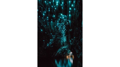 Waitomo Glowworm Caves | Activities & Day Trips in Waikato, New Zealand