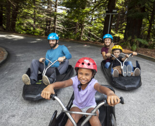 Skyline Rotorua | Activities & Attractions | Activities & Day Trips in ...