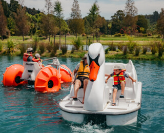Huka Prawn Park | Activities & Day Trips in Taupō, New Zealand