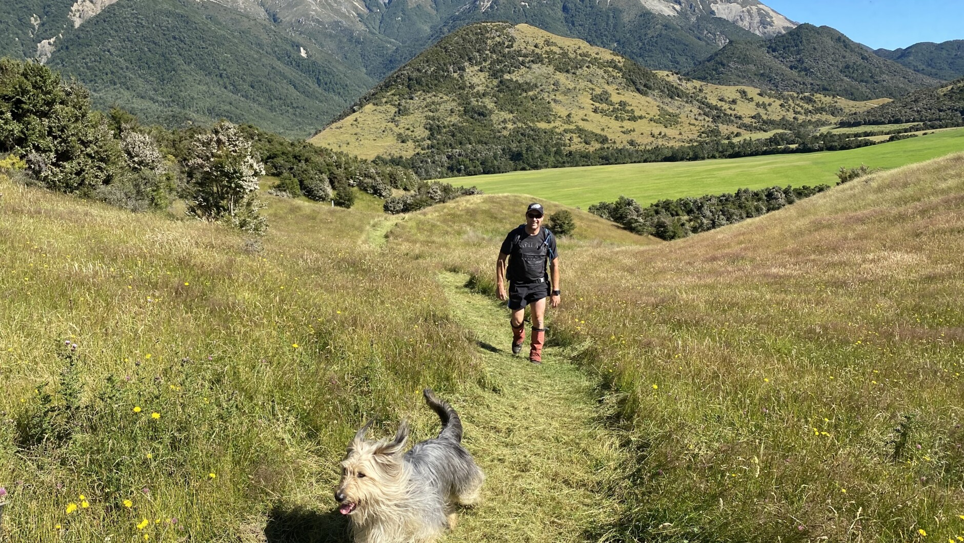 Island Hills Station Walking Track | Activity in Christchurch ...