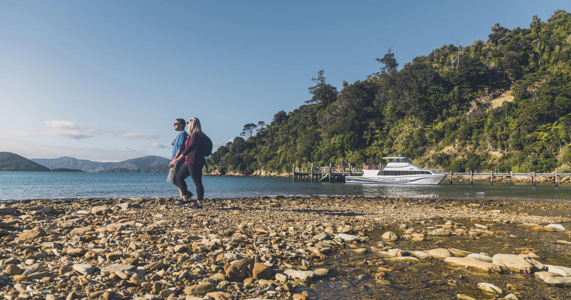 Picnic at Ship Cove/Meretoto | Activities & Day Trips in Marlborough ...