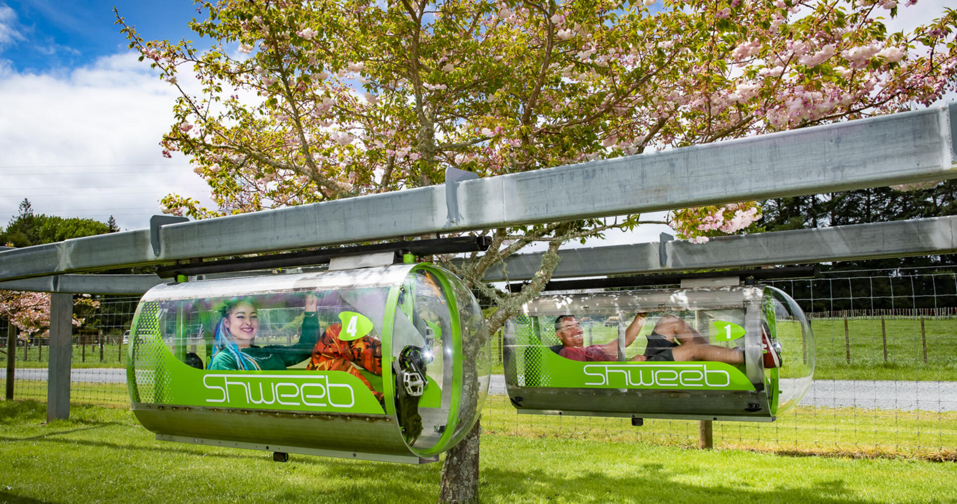 Shweeb at Velocity Valley Rotorua | Activities & Day Trips in Rotorua ...