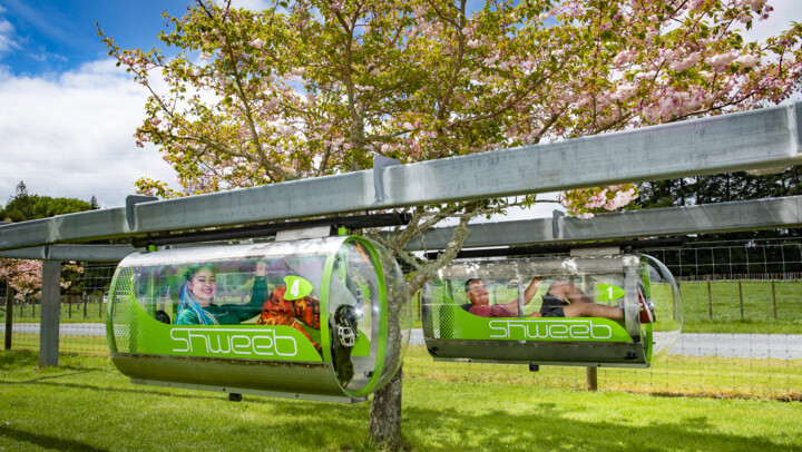 Shweeb at Velocity Valley Rotorua | Activities & Day Trips in Rotorua ...