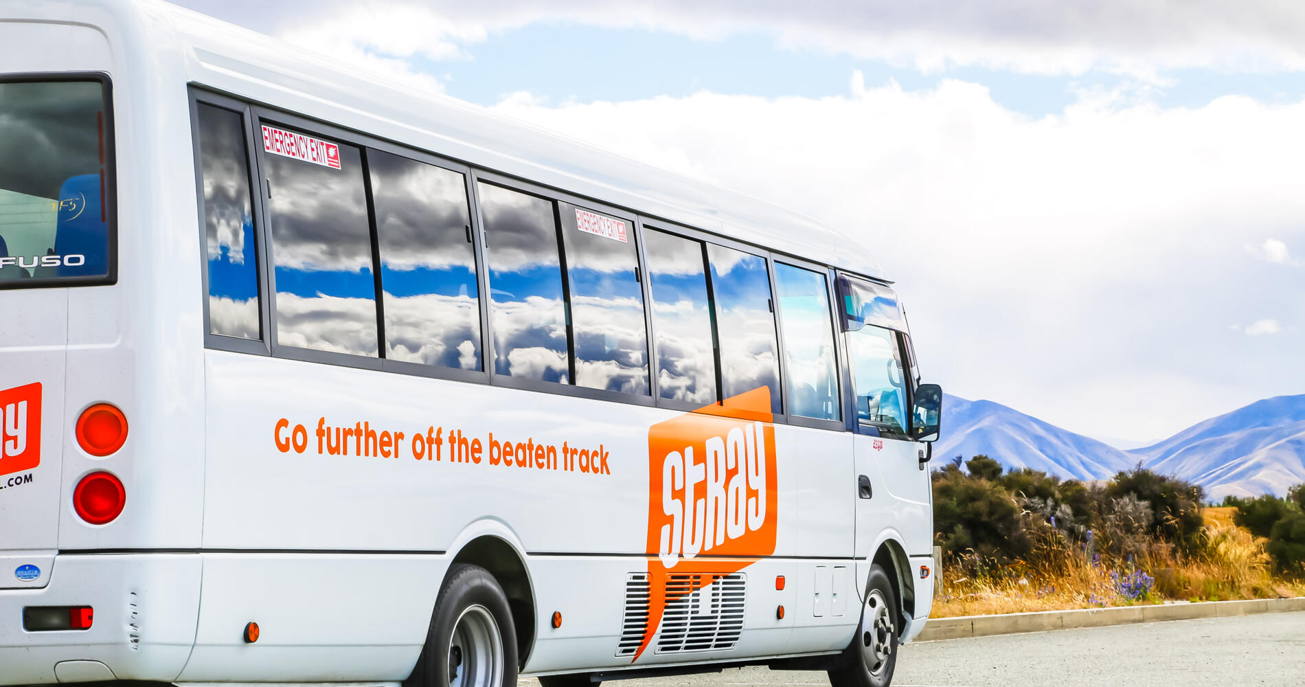 Stray Bus Tours | Tour