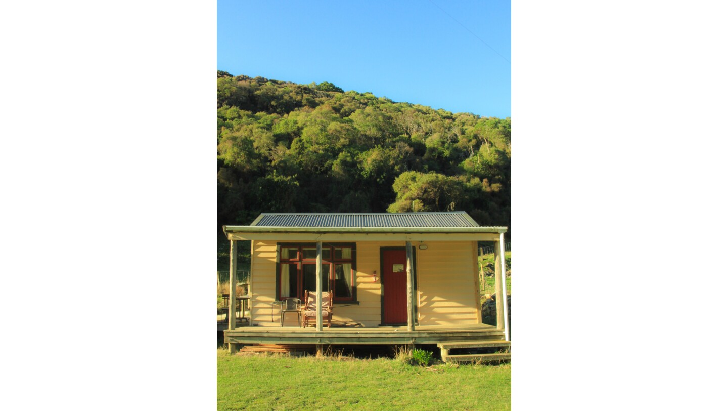 Pōhatu Penguins - Farmstay on the wildside of Banks Peninsula out of ...